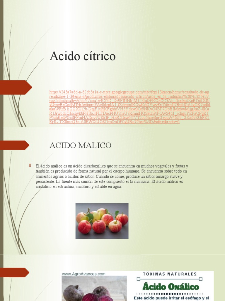 Acidos Organicos Plantas | PDF | Gusto | Alimentos
