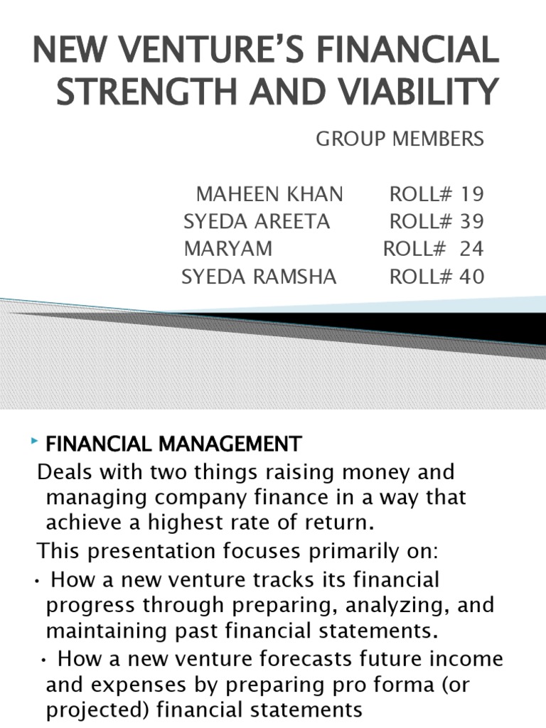 New Venture's Financial Strength and Viability | PDF | Pro Forma ...