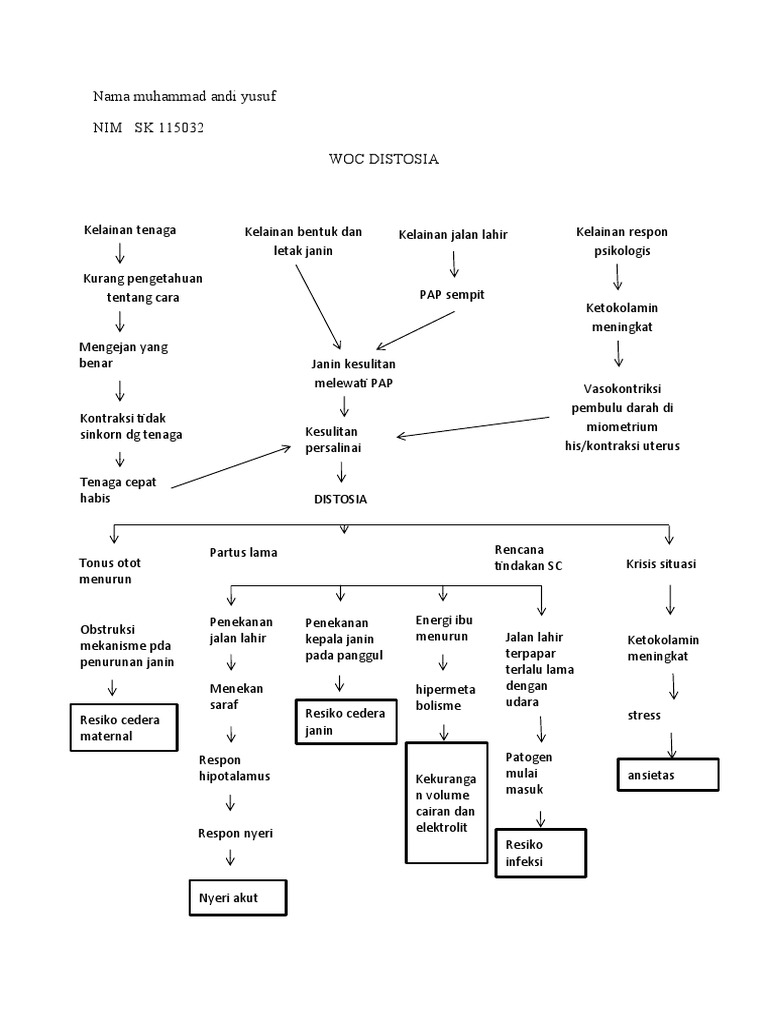 Pathway Distosia Bahu dan Risiko Cedera | PDF