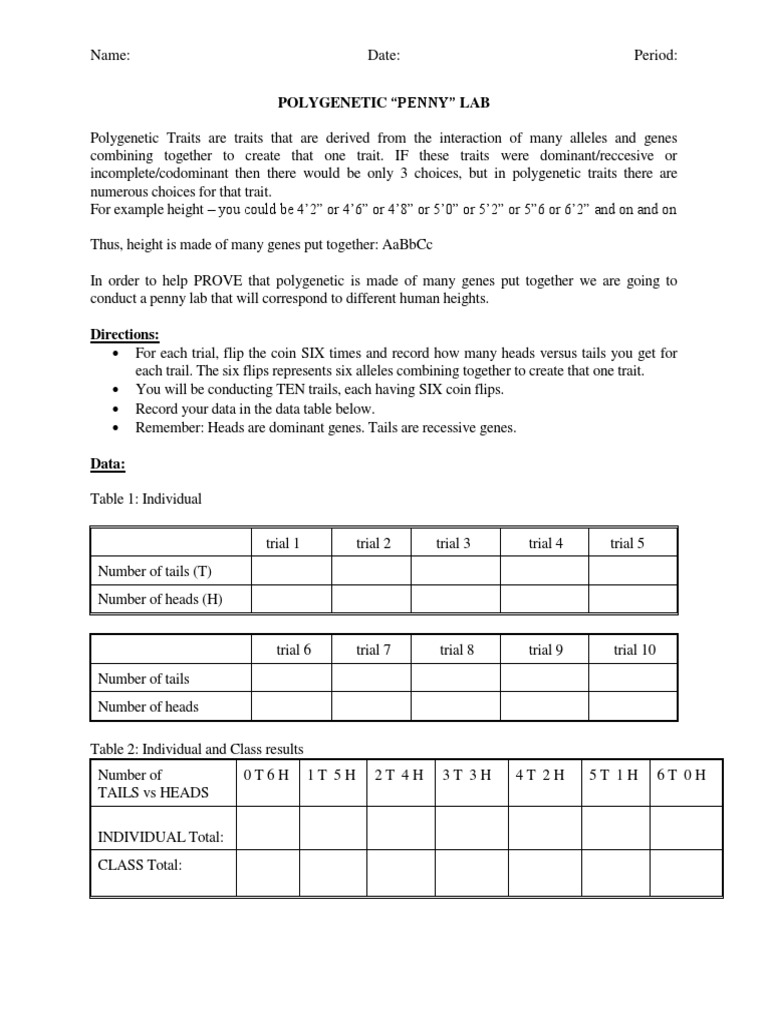 Polygenic Traits Penny Lab Guide | PDF | Phenotypic Trait | Dominance ...