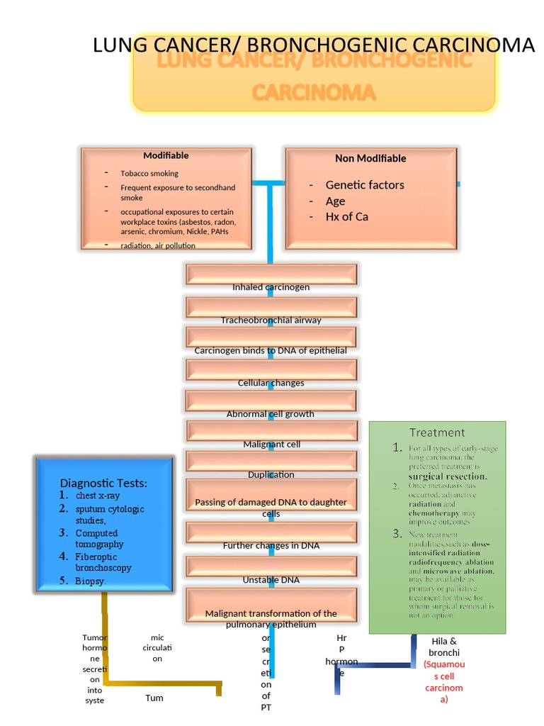 Lung Cancer Pathophysiology | PDF | Lung Cancer | Carcinoma