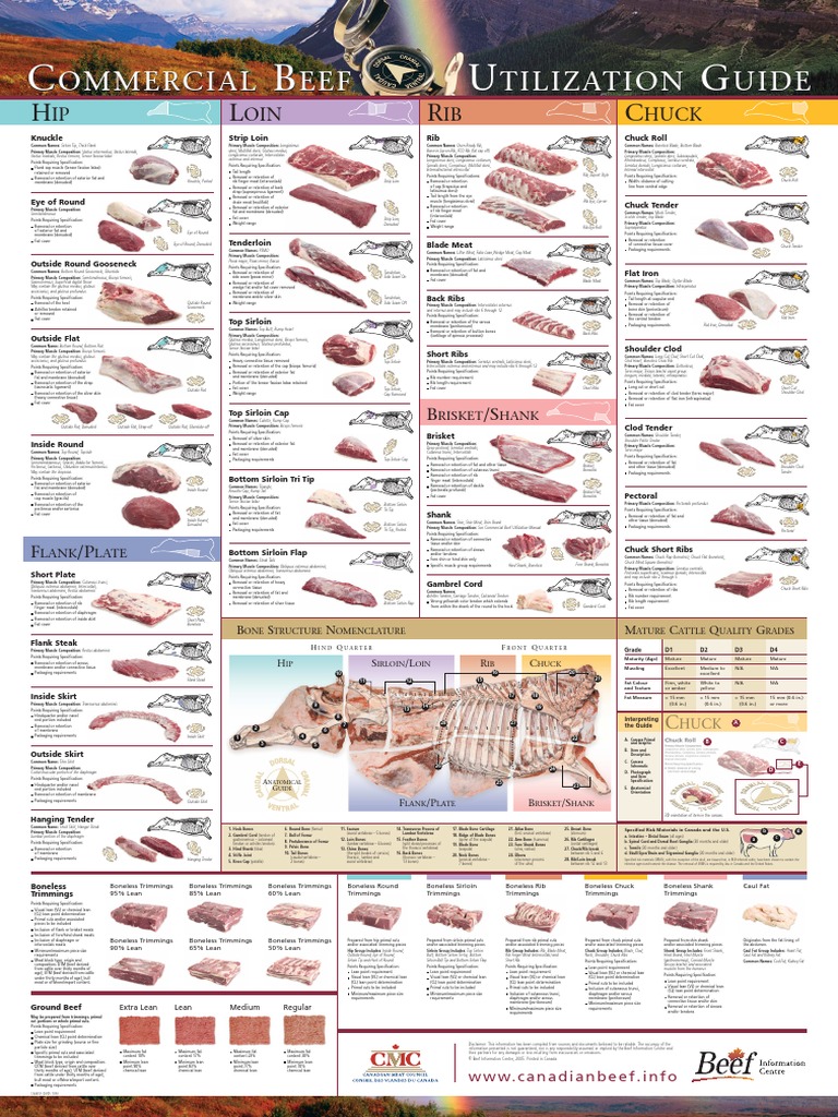 Beef Chart CANADA | PDF | Chuck Steak | Shoulder