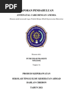 Askep Anemia Pada Kehamilan | PDF