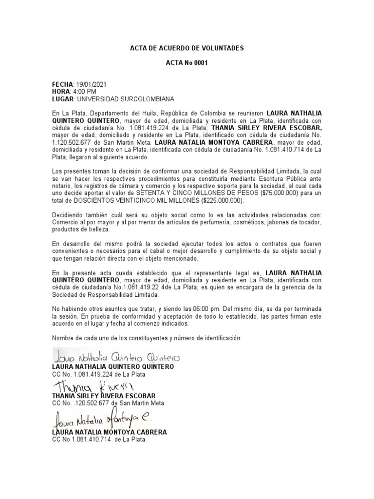 Acta de Acuerdo de Voluntades Ltda | PDF | Derecho