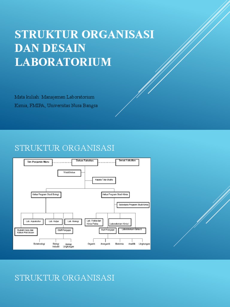 Struktur Organisasi Dan Desain Laboratorium | PDF