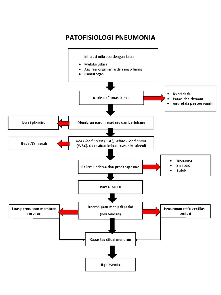 Bagan Patofisiologi Pneumonia | PDF