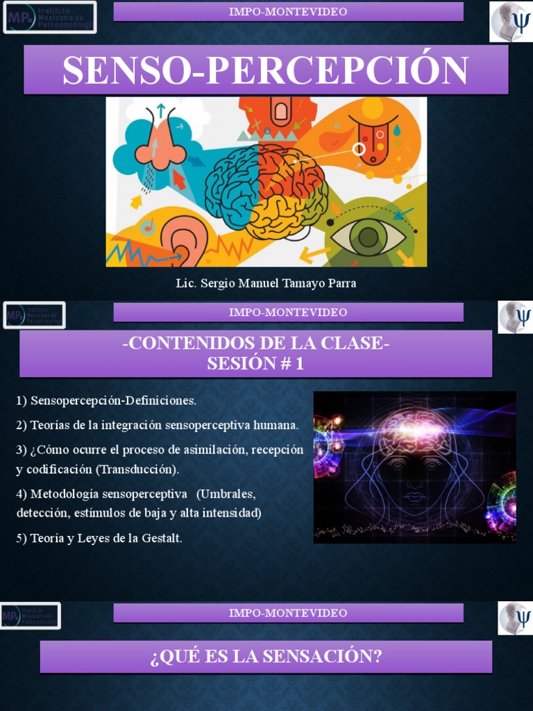 Introducción a la Sensopercepción | PDF | Sentidos | Percepción