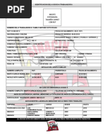 Ejemplo de Dpi Formato para Hacer | PDF