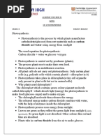 01. Grade 8 - Photosynthesis and Respiration (Notes) | PDF ...