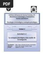 Protocolo Mapi | PDF | Suicidio | Victimologia