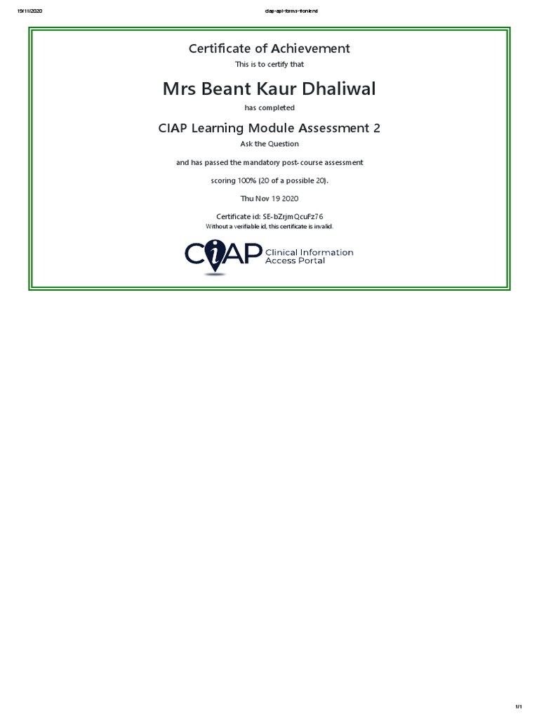 Ciap Api Forms Frontend | PDF