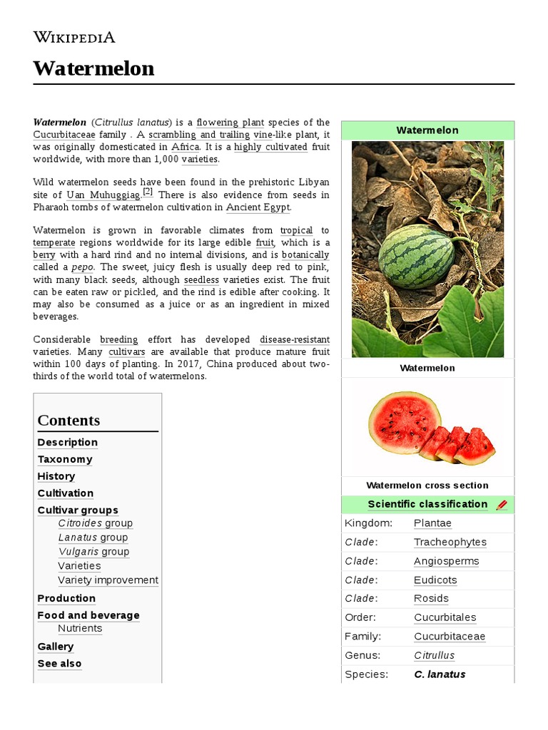 Watermelon | PDF | Watermelon | Plants