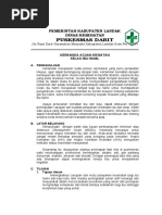 KAK Kunjungan Pembinaan Anc, Inc Dan PNC BG Posyandu | PDF