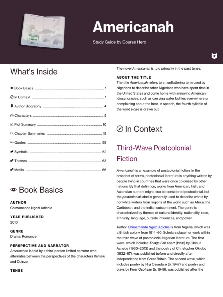 Americanah: What's Inside | PDF