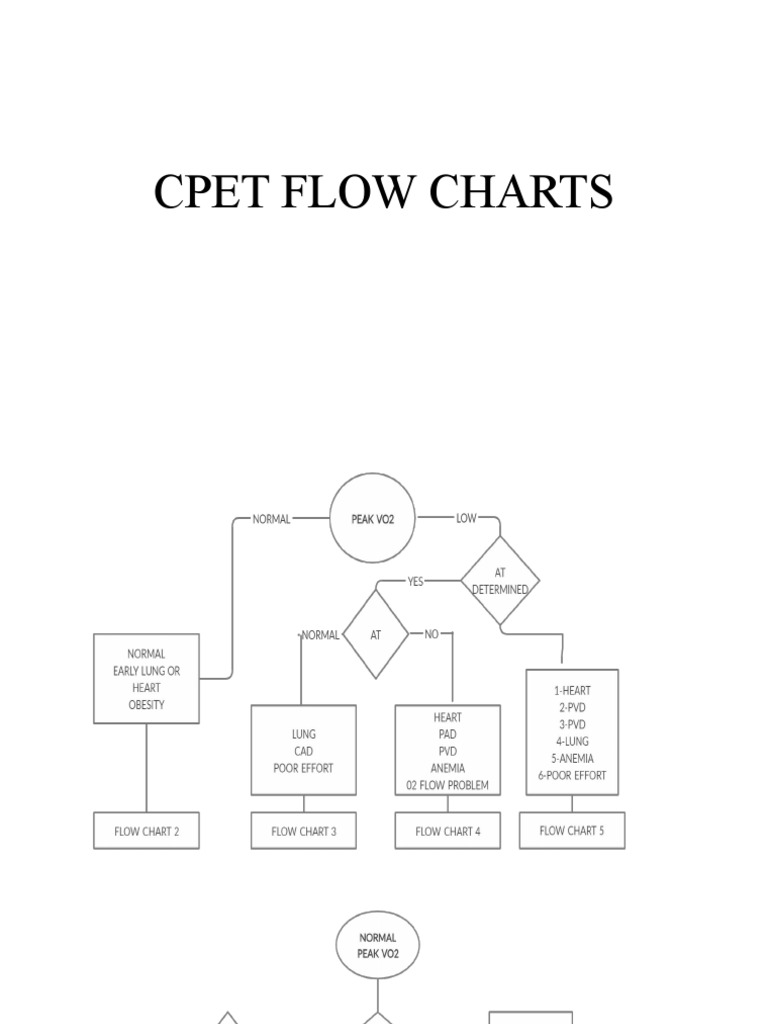 Cpet Flow Charts | PDF