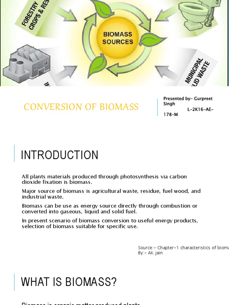 Conversion of Biomass: Presented By-Gurpreet Singh L-2K16-AE - 178-M ...