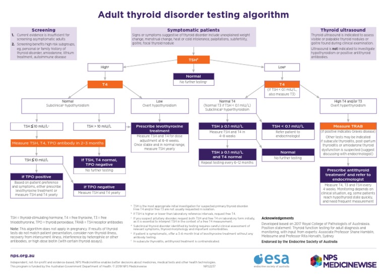 NPS MedicineWise Thyroid Testing Algorithm v3 | PDF | Thyroid ...