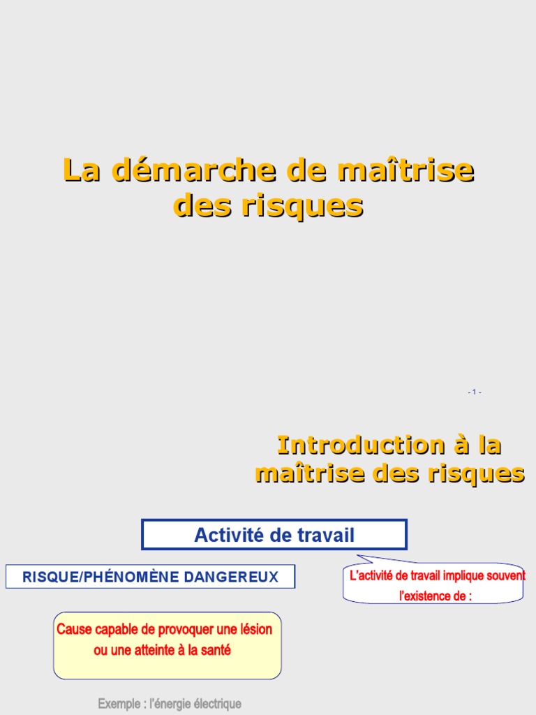 Démarche de La Maîtrise Des Risques (Chapitre III) | PDF | Prophylaxie ...