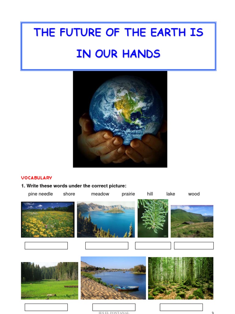 Earth: Our Shared Responsibility | PDF