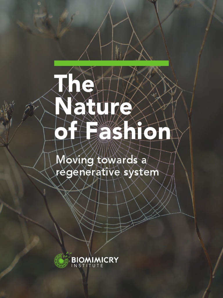 The Nature of Fashion: Moving Towards A Regenerative System | PDF ...