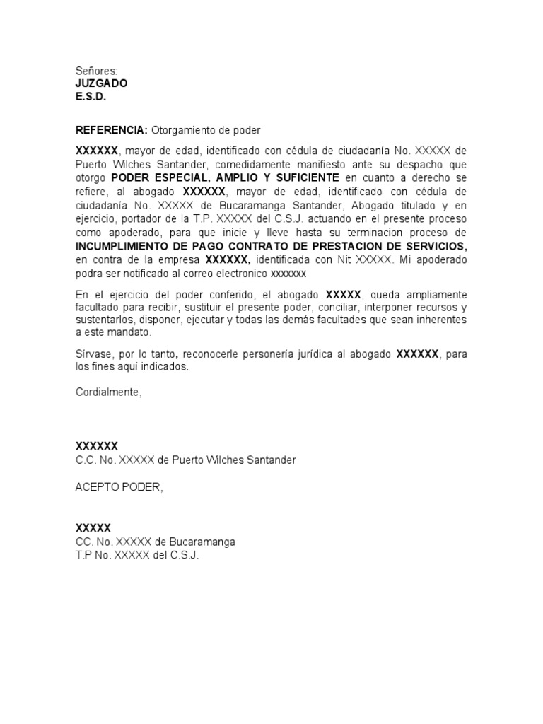 Poder Demanda Ejecutiva | PDF