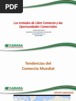 Mapa Conceptual del TLC en México | PDF | Arancel | Mercado (economía)