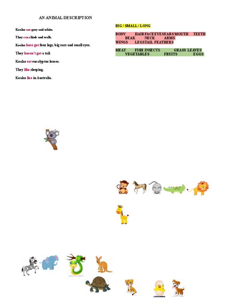 New High Five 2 UNIT 3 Animal Description | PDF | Home & Garden | Wellness