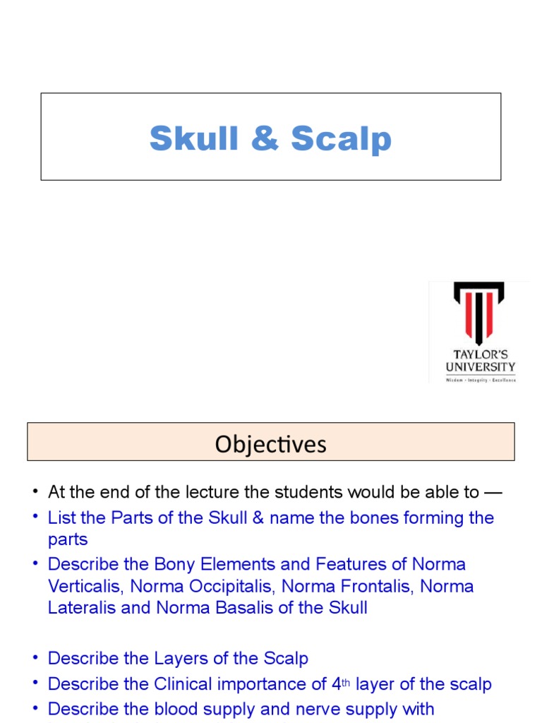 Anatomy of the Skull and Scalp: A Comprehensive Overview of Bones ...