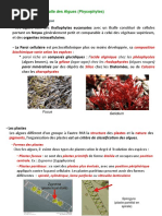 Cours 2-La Paroi Pectocellulosique PDF | PDF | Paroi cellulaire | Lignine