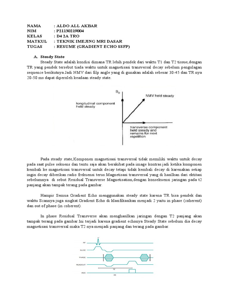Optimasi Gradient Echo SSFP MRI | PDF