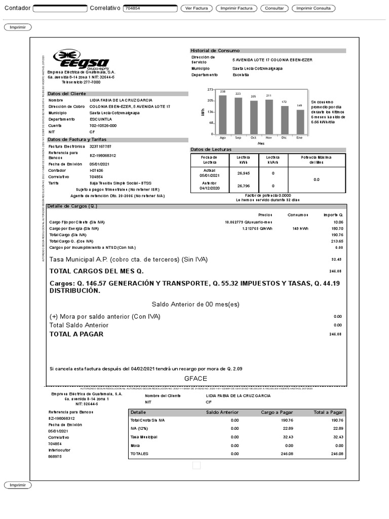Factura de consumo eléctrico detallando información del cliente ...