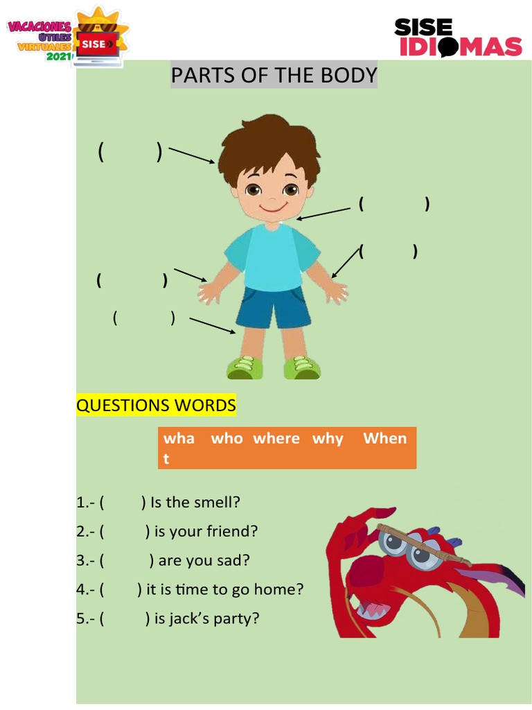 Parts of The Body: Questions Words | PDF