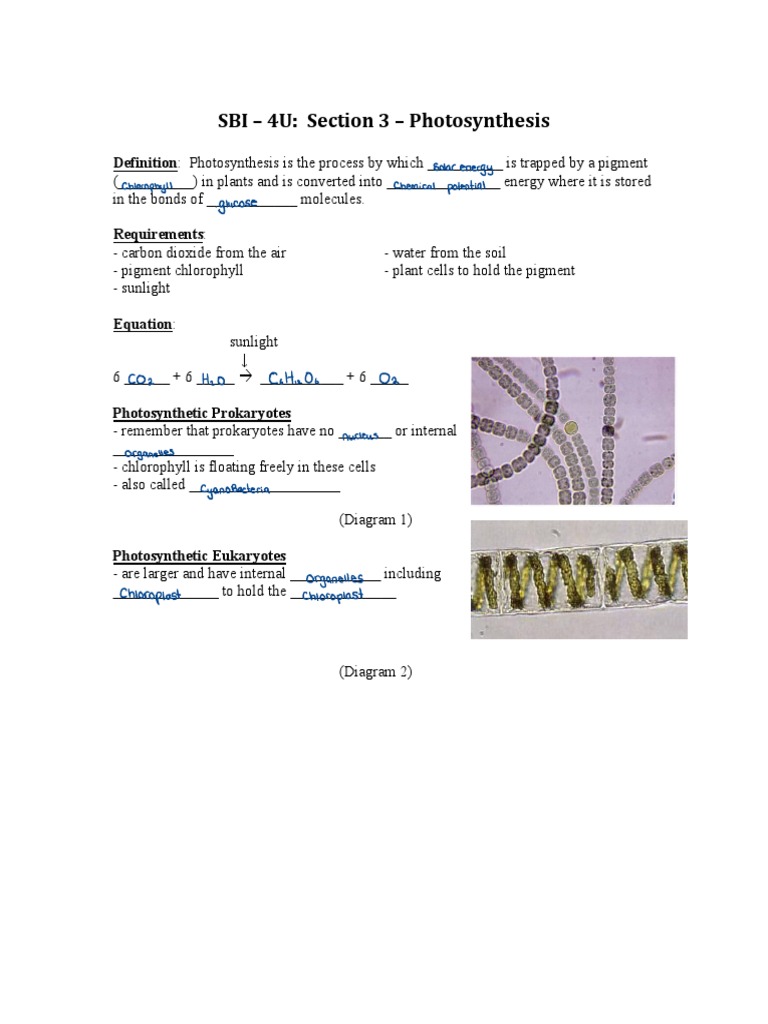 Photosynthesis Lessons Student Notes | PDF | Photosynthesis | Chlorophyll