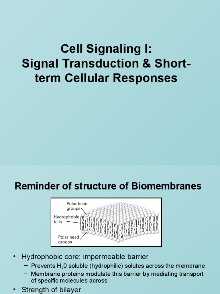 Signaling Pathways: An Overview of Cell Surface Receptors, Second ...
