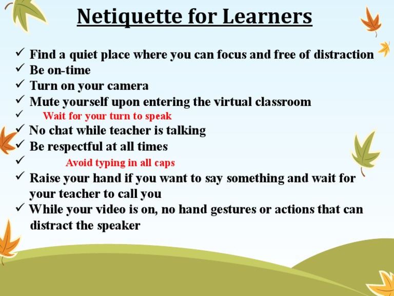 Netiquette For Learners | PDF