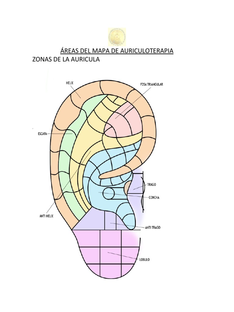 Mapa de Puntos en Auriculoterapia | PDF