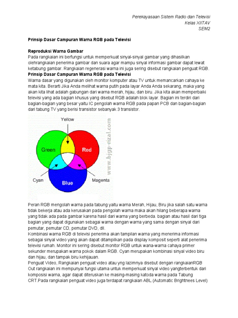 Prinsip Warna RGB pada Televisi | PDF