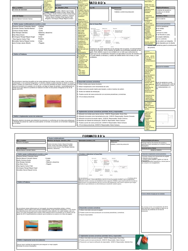 Formato 8DS | PDF | Herramientas | Naturaleza