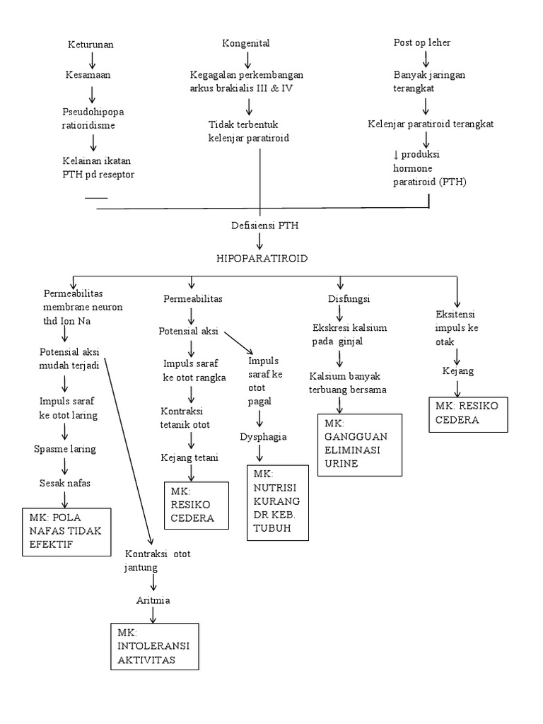 Woc Hipoparatiroid & Hiperparatiroid | PDF