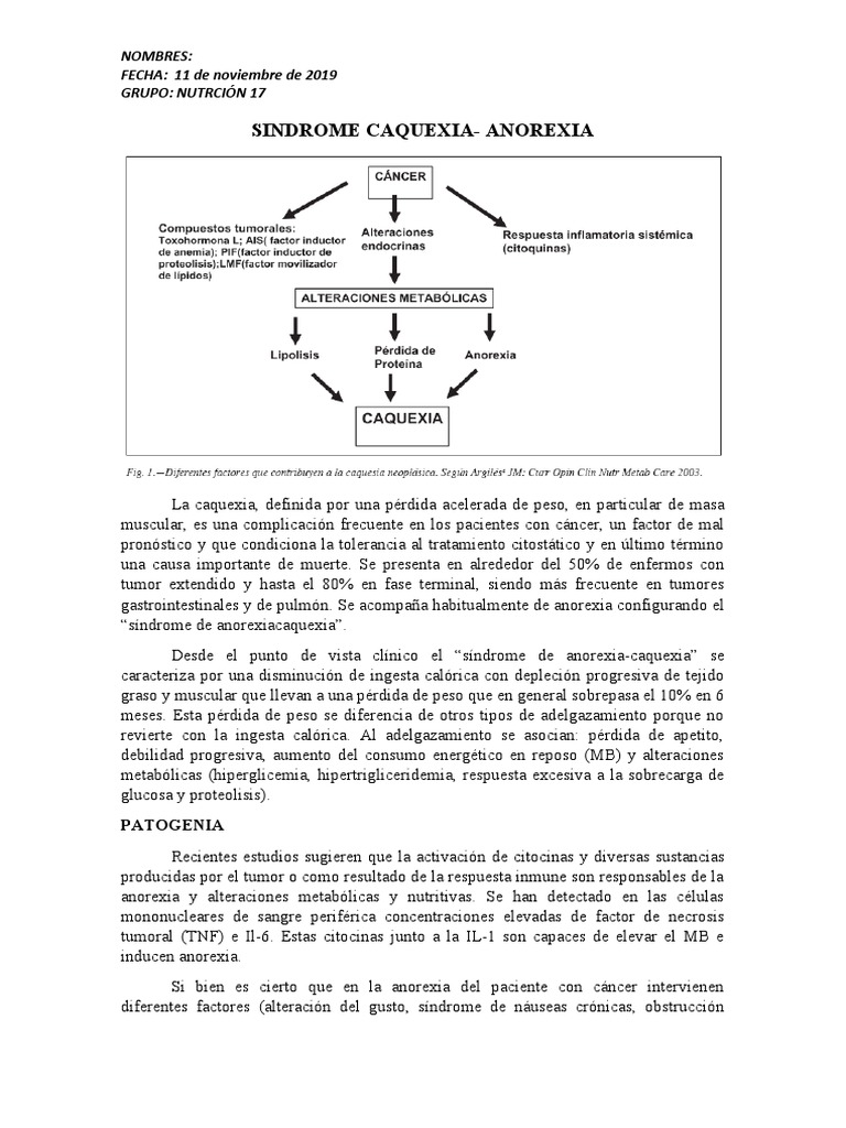 Sindrome Caquexia | PDF | Citocina | Cáncer