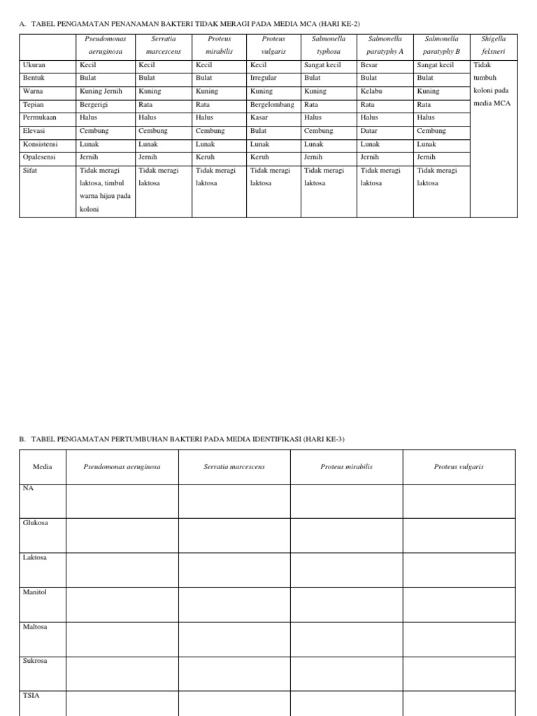 Tabel Pengamatan Penanaman Bakteri Tidak Meragi Pada Media Mca | PDF