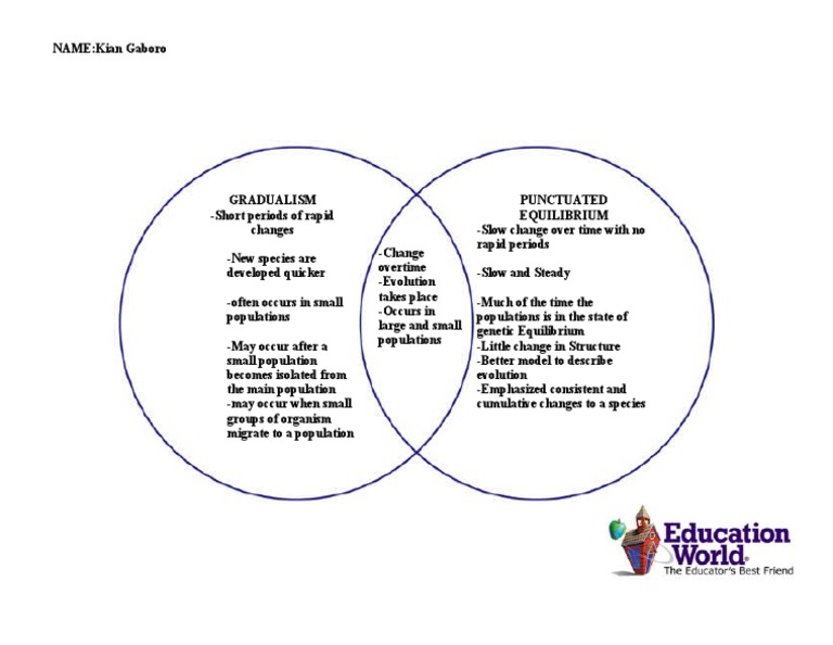 2 Circle Venn Diagram Template Word | PDF