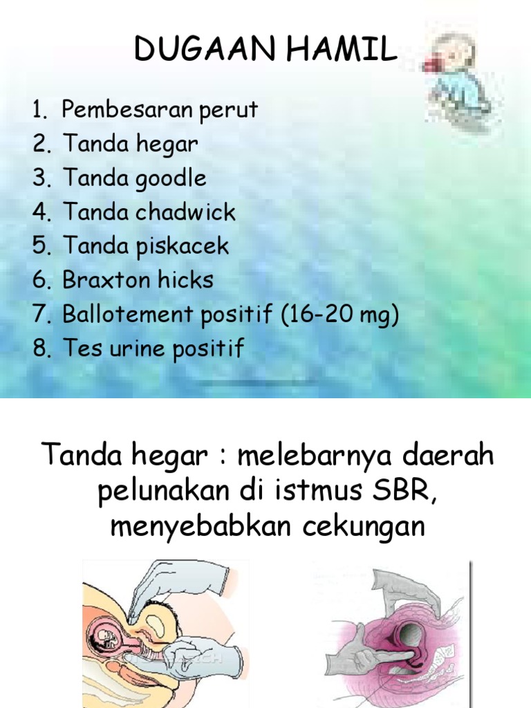 Tanda Kehamilan: Hegar, Chadwick, Piskacek | PDF