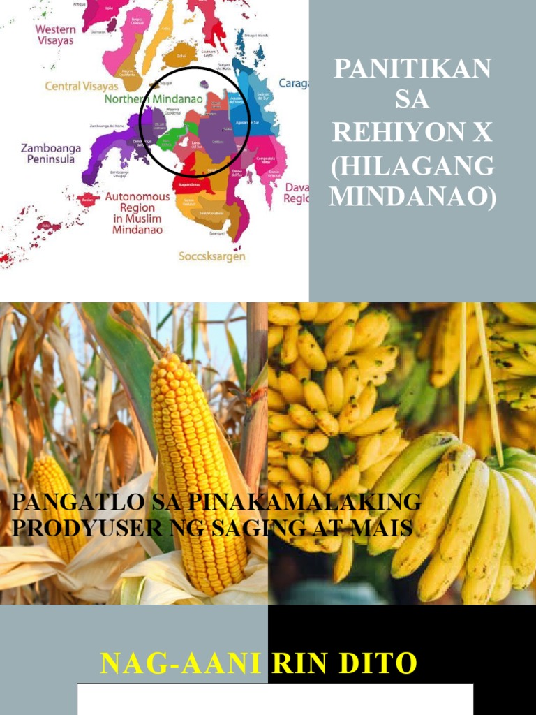 Panitikan NG Rehiyon X | PDF