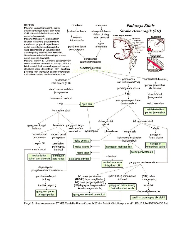 Woc Stroke Hemoragik | PDF