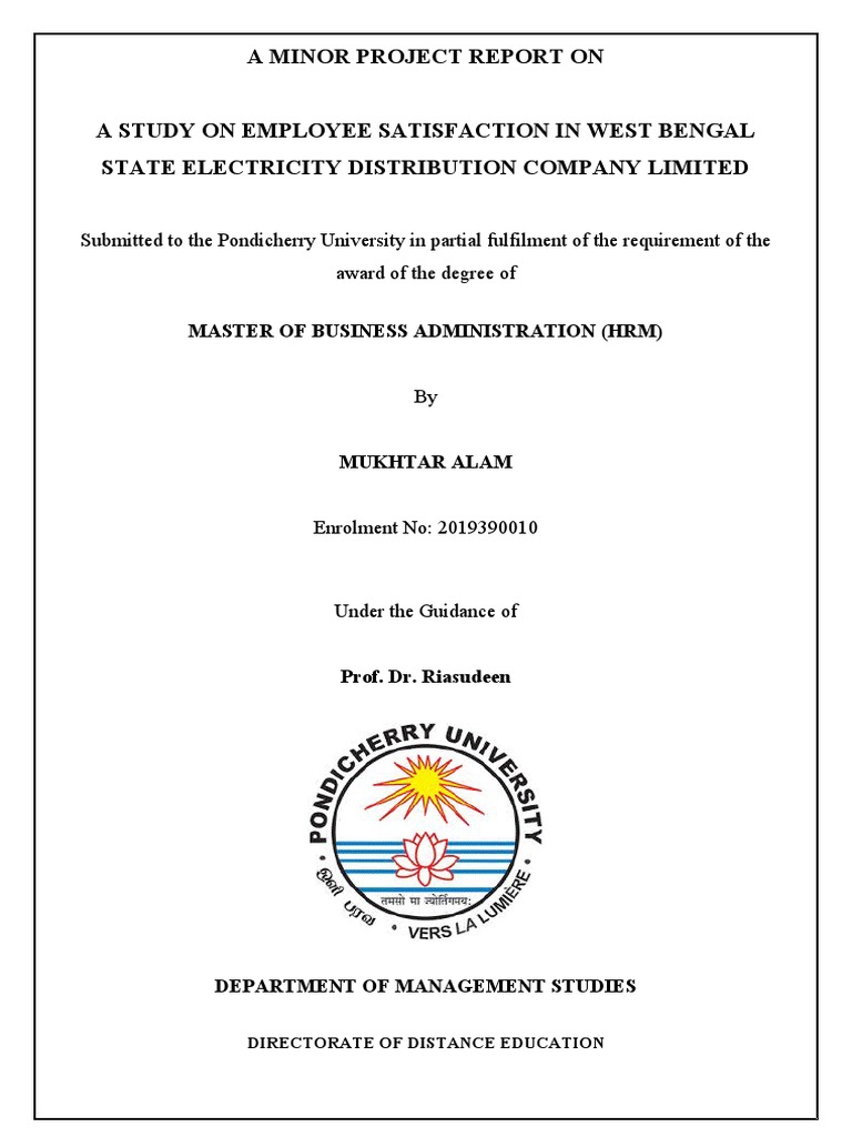 Final Sem MBA Project Report | PDF | Economies | Employment