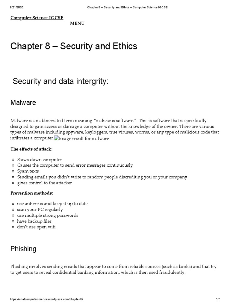 Chapter 8 - Security and Ethics - Computer Science IGCSE | PDF | Malware | Spyware