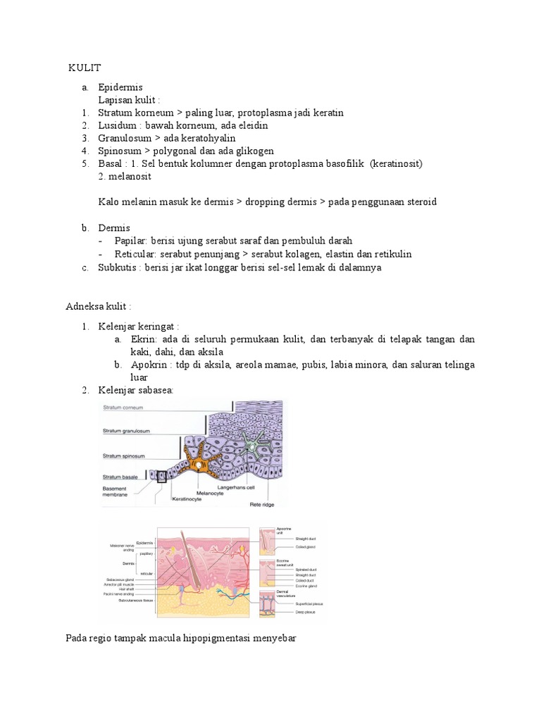 Struktur dan Terapi Kulit Manusia | PDF