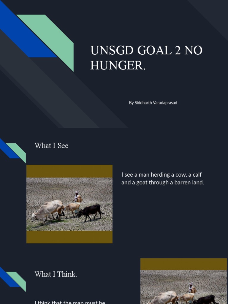 Unsgd Goal 2 No Hunger | PDF | Hunger | Malnutrition