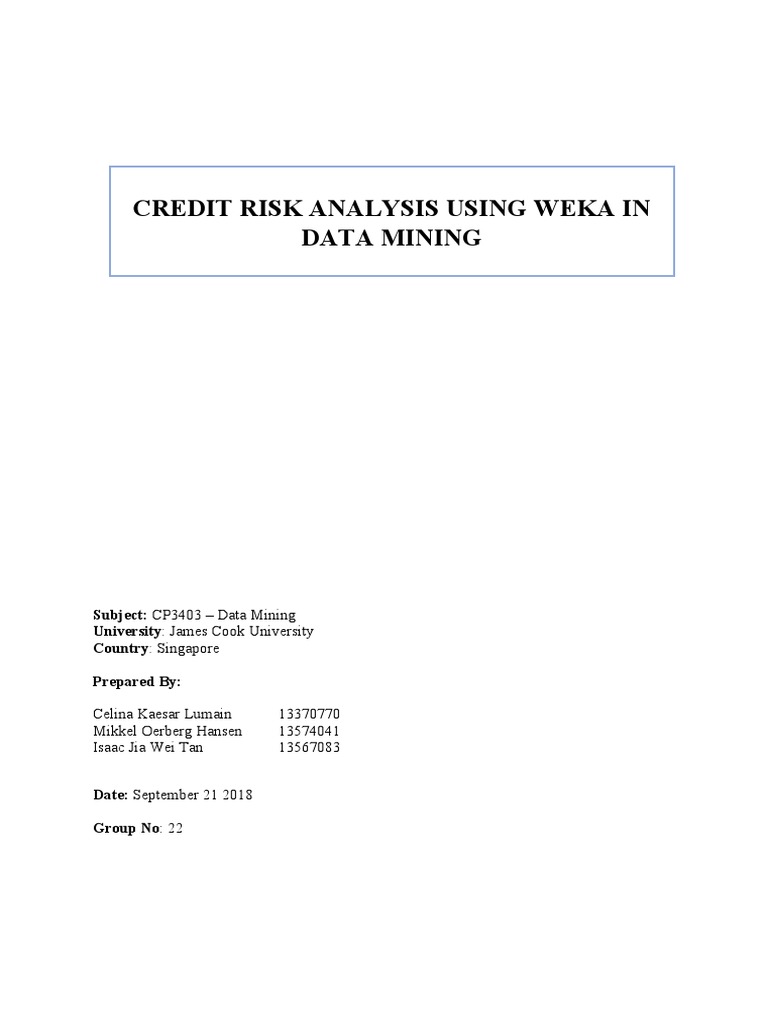 Data Mining Report - Group 22 | PDF | Credit | Finance & Money Management